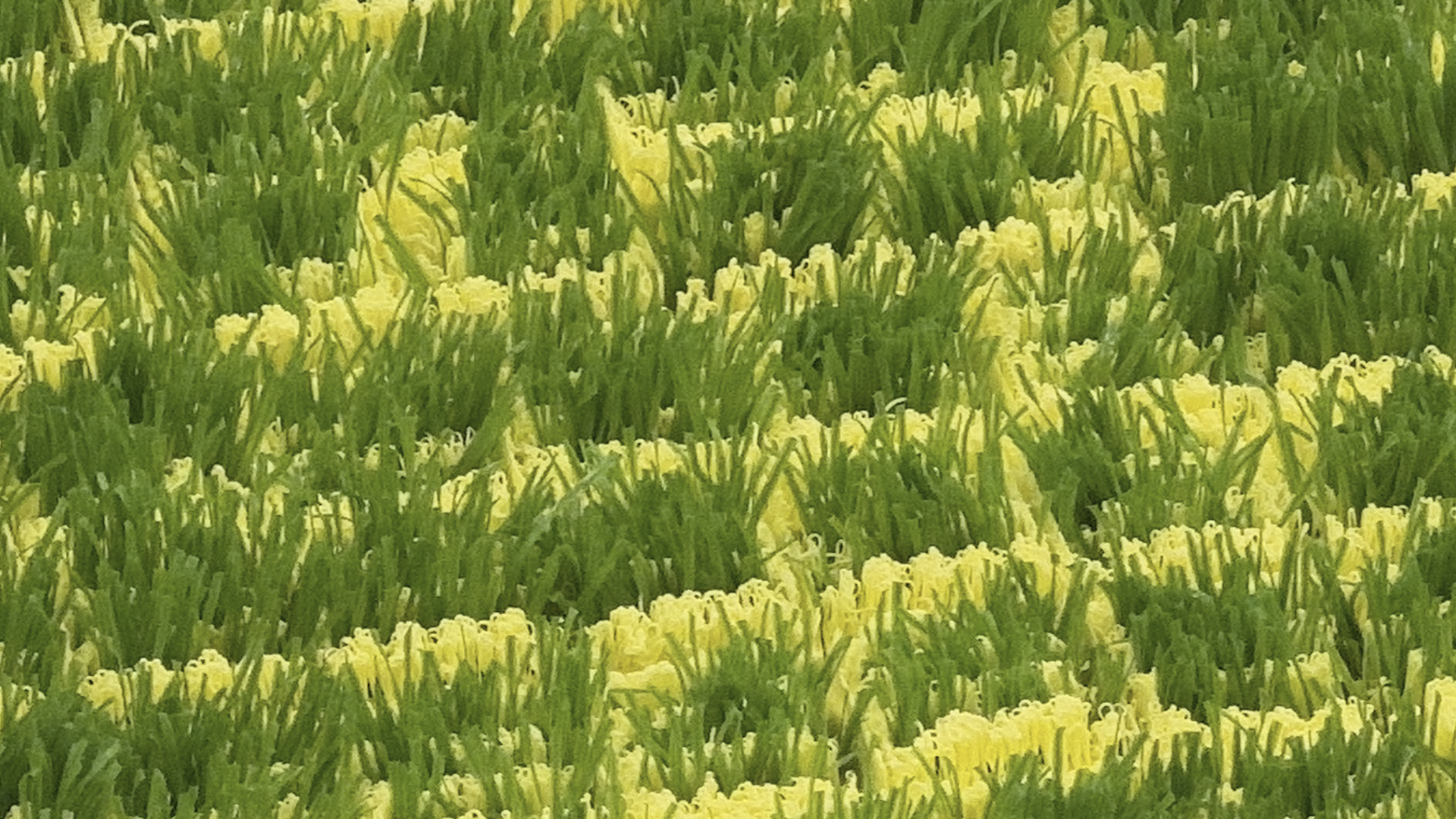 ProgrammableGrass | CGC ARCHIVE