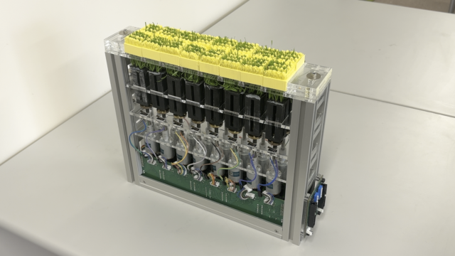 ProgrammableGrass | CGC ARCHIVE